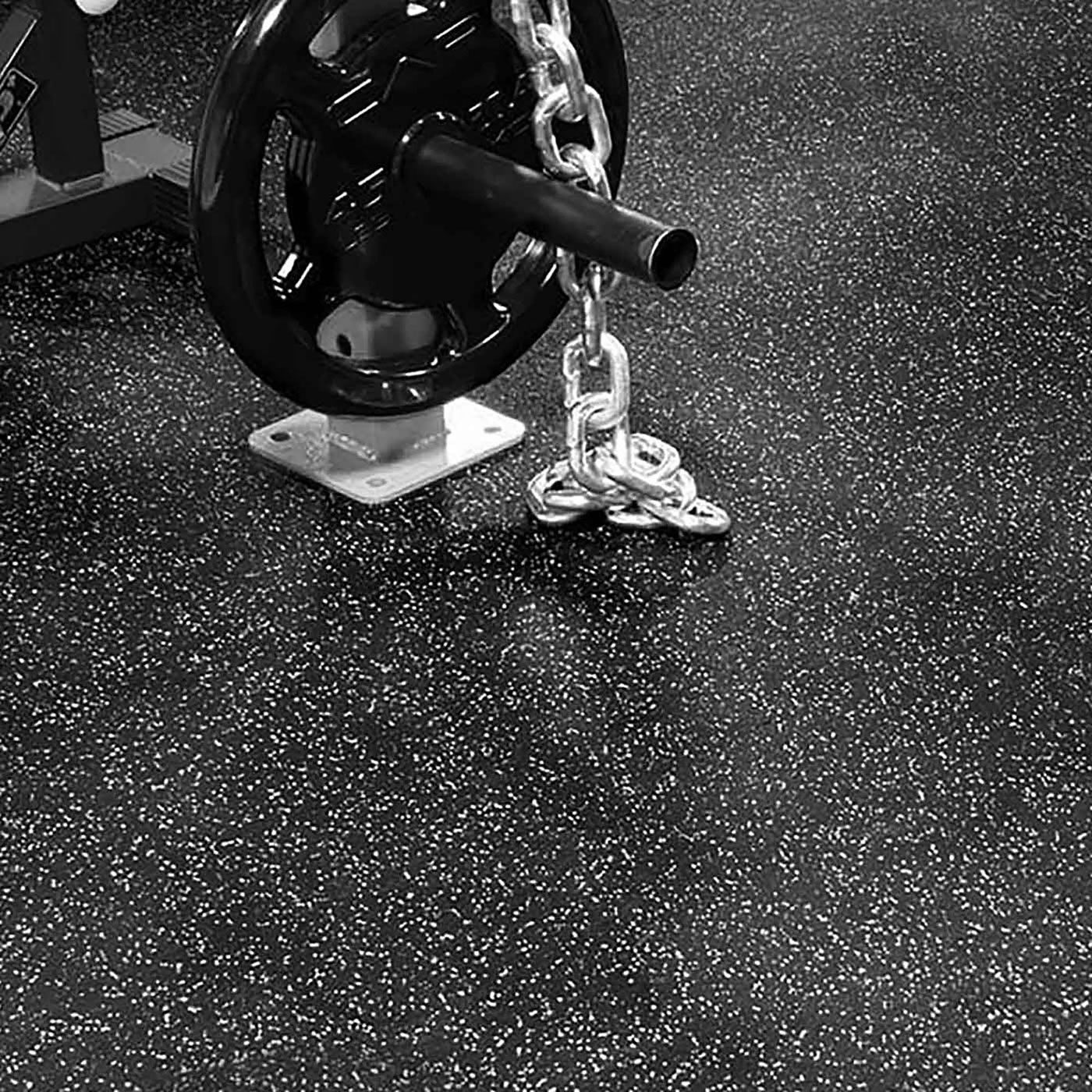 Grippin Grey - Evolution Bioparques