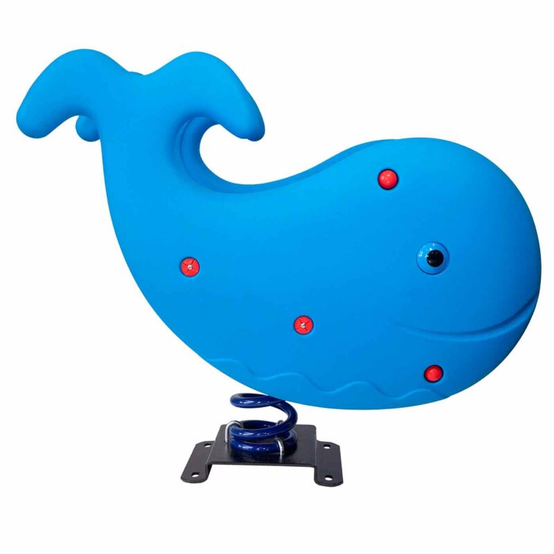 Ballena - Evolution Bioparques