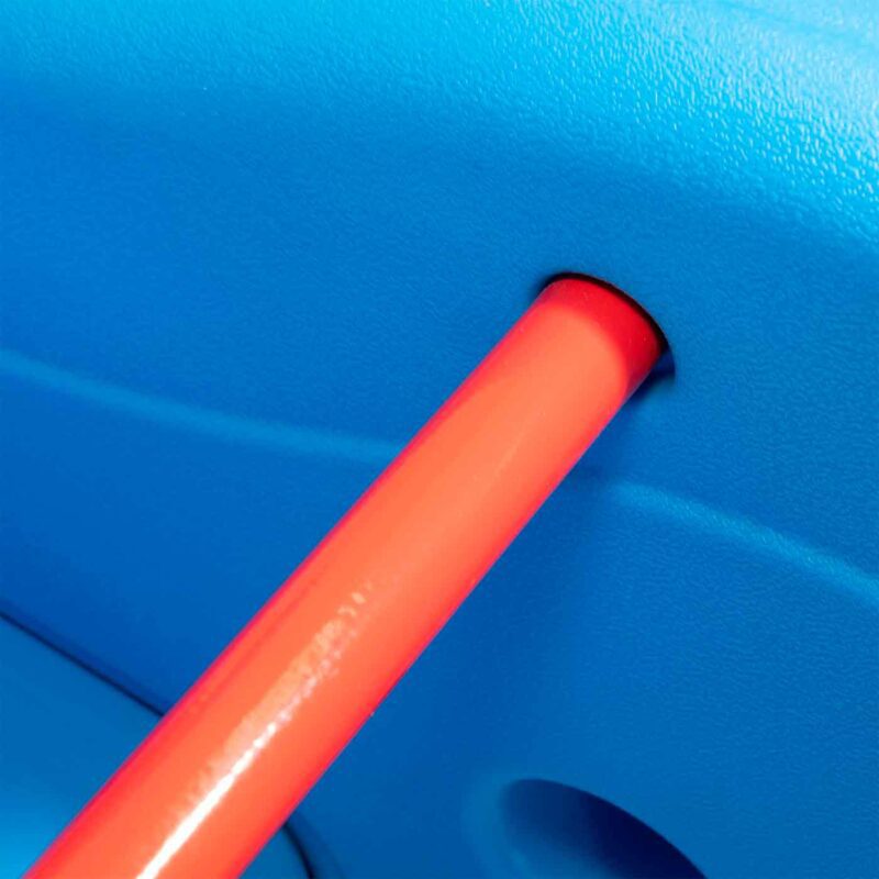 Ballena - Evolution Bioparques