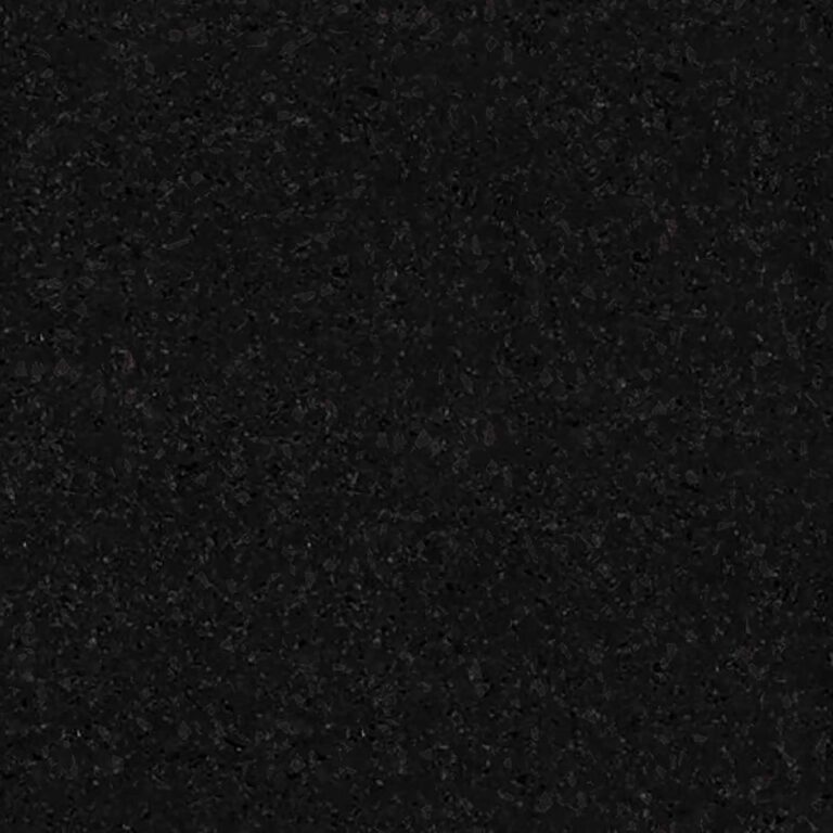 Basic Black - Evolution Bioparques