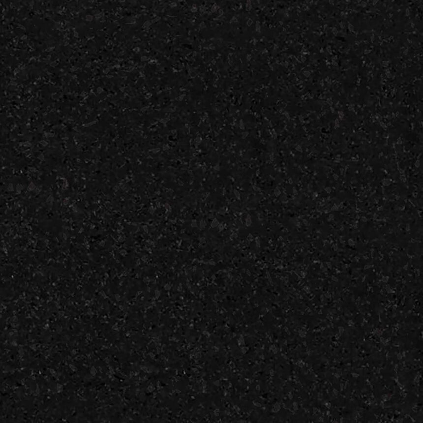 Basic Black - Evolution Bioparques