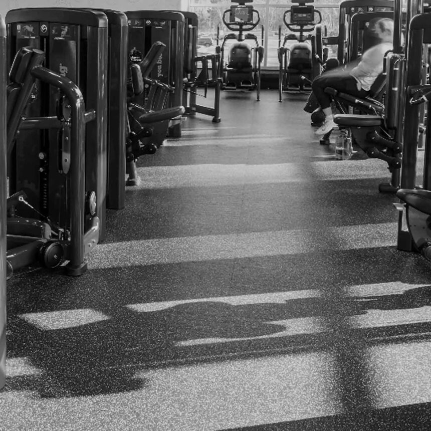 Basic Black - Evolution Bioparques