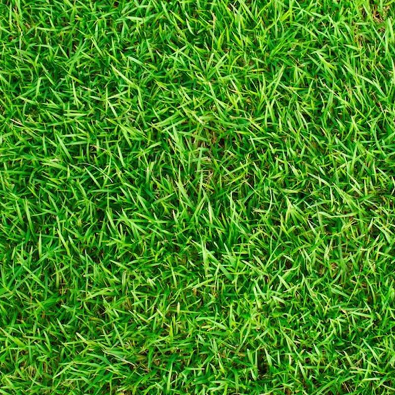 PISOS archivos - Evolution Bioparques